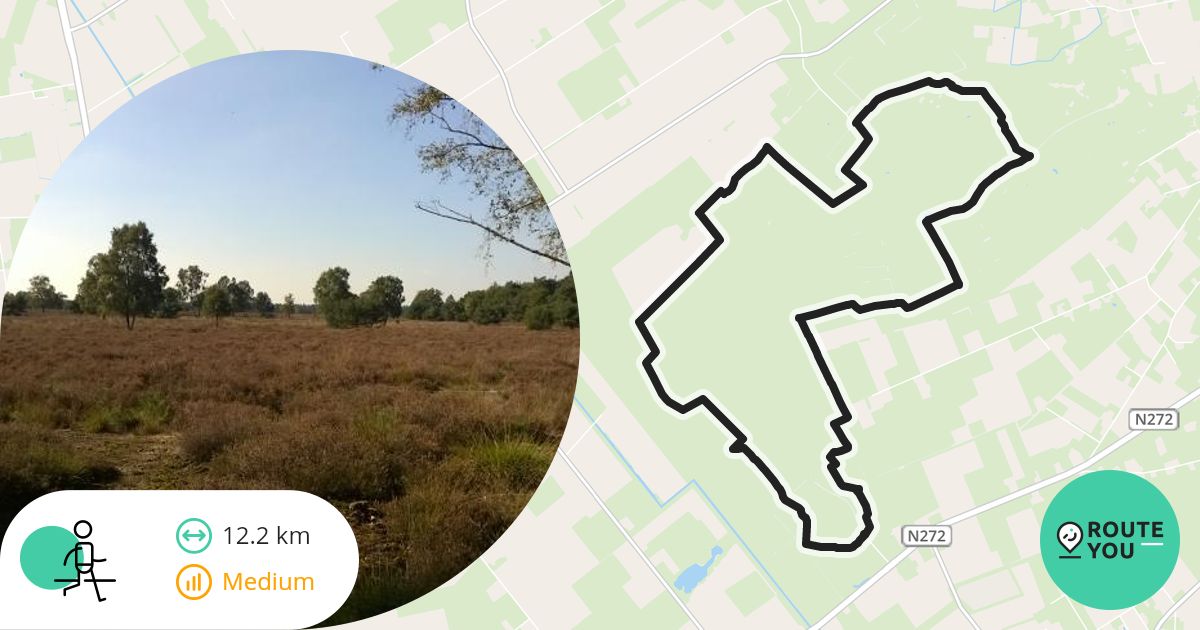 Sint Anthonis Staatsbossen en heidevelden - Wandelroute | RouteYou