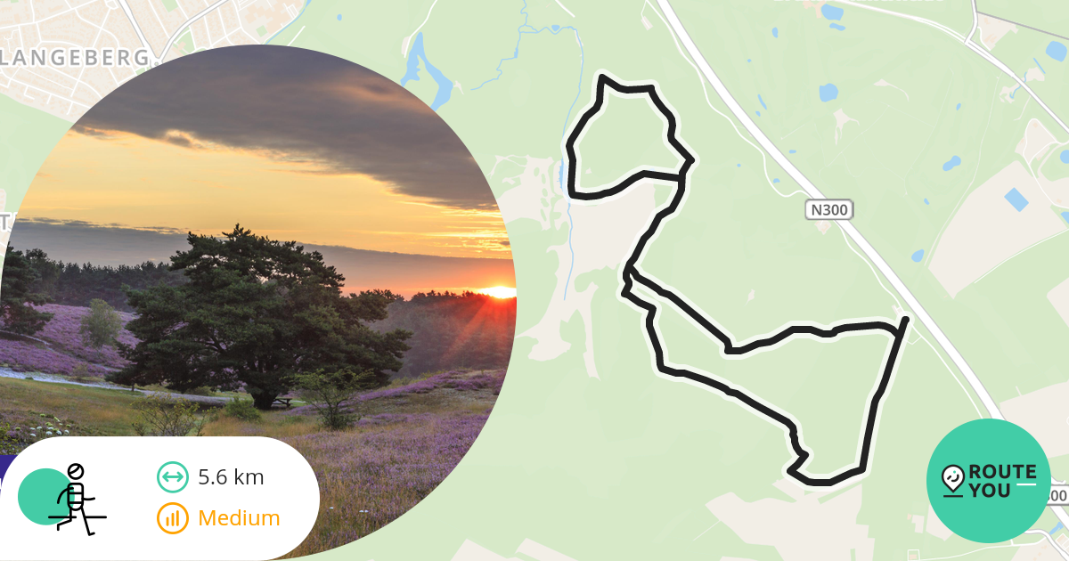 Wandelroute NM1 - Brunssum - Brunssummerheide Rood - Recreatieve ...