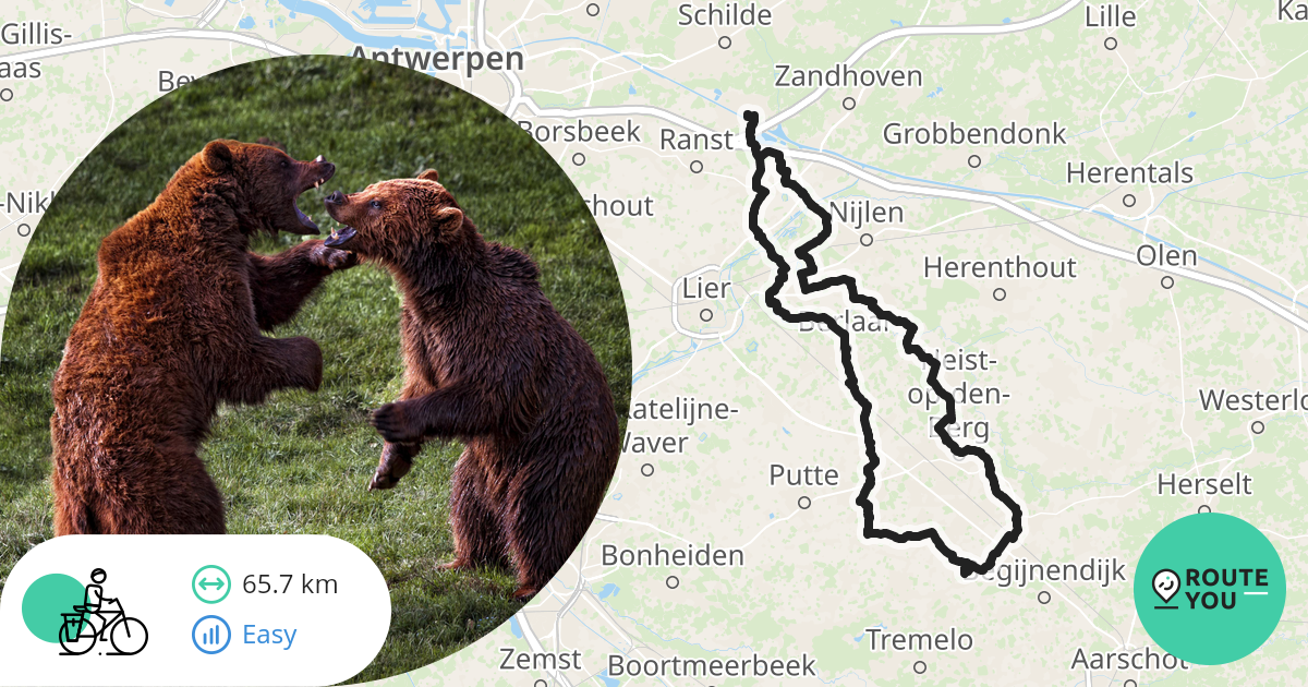 Oelegem-Beerzelberg-65km - Recreatieve fietsroute | RouteYou
