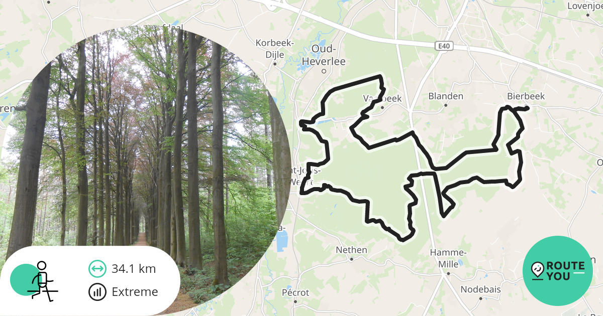 Meerdaalwoud 35km - Wandelroute | RouteYou