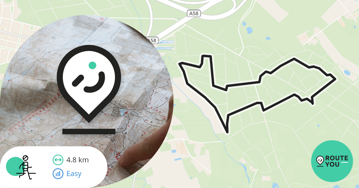 Ulvenhoutse Bos Blauwe Route - Recreatieve wandelroute | RouteYou