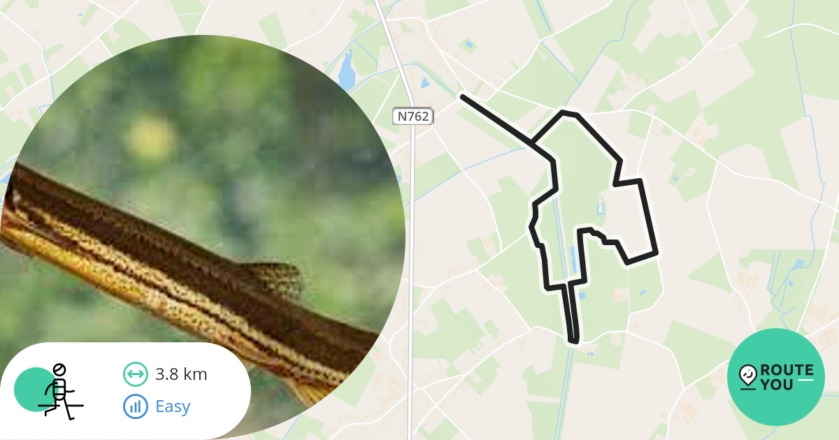 Natuurgebied De Goort - Recreatieve wandelroute | RouteYou