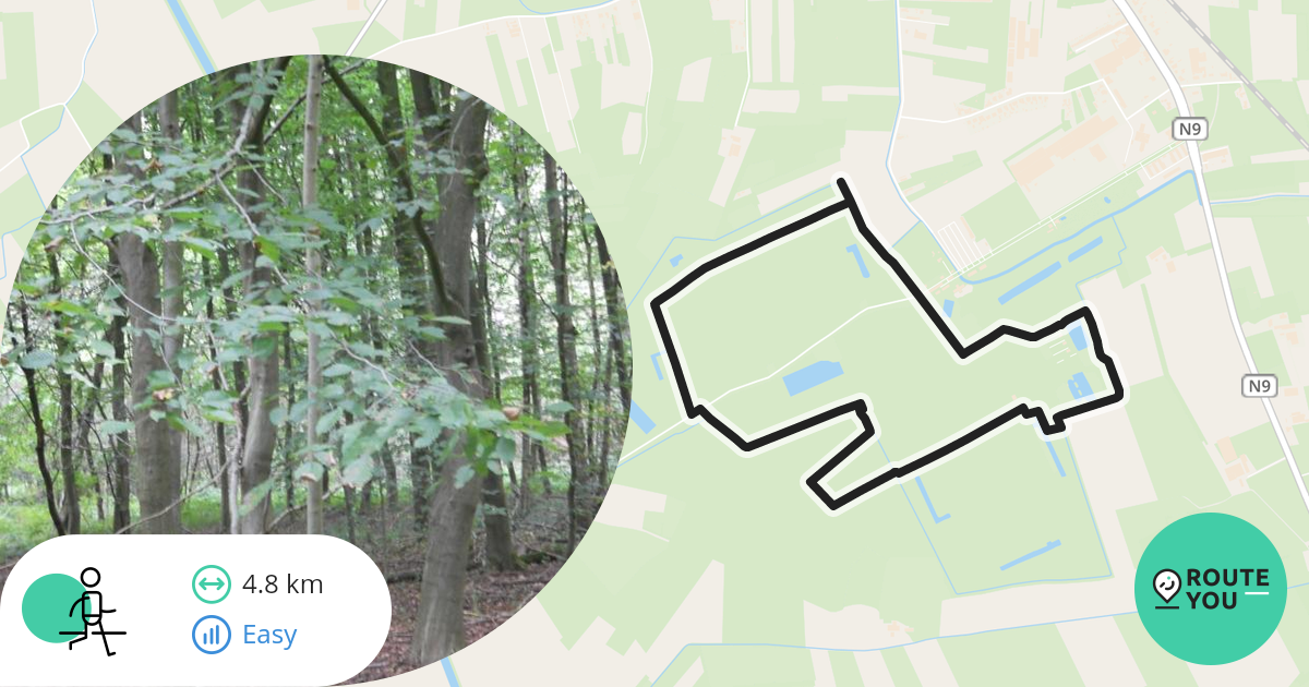 Zomaar even weg: Provinciaal Domein 'Het Leen' - Wandelroute | RouteYou