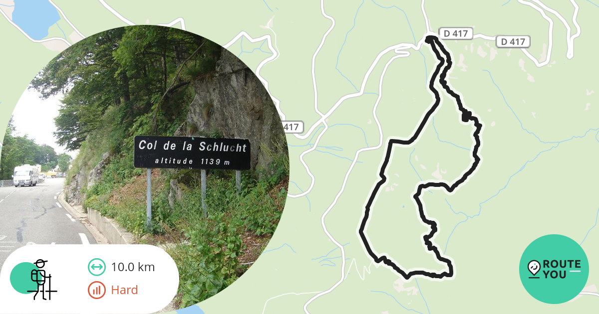 Col de la Schlucht - Sentier des Roches - Hikingroute | RouteYou