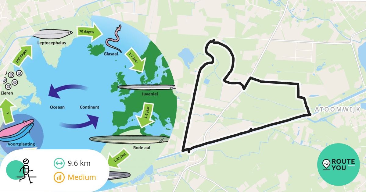 Rondje Prinsenpark Retie - Recreatieve wandelroute | RouteYou