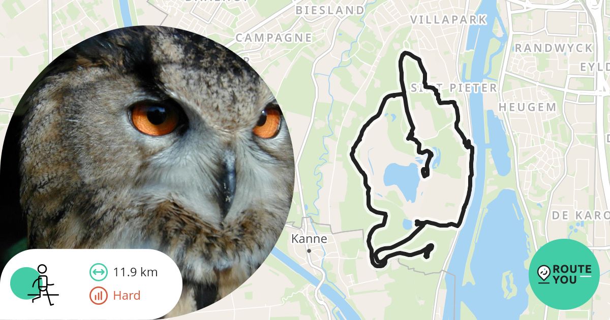 Lange wandeling rond en in de ENCI-groeve - Wandelroute | RouteYou