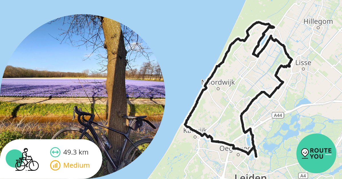 Genieten van de Bollenstreek (50 km) - Recreatieve fietsroute | RouteYou