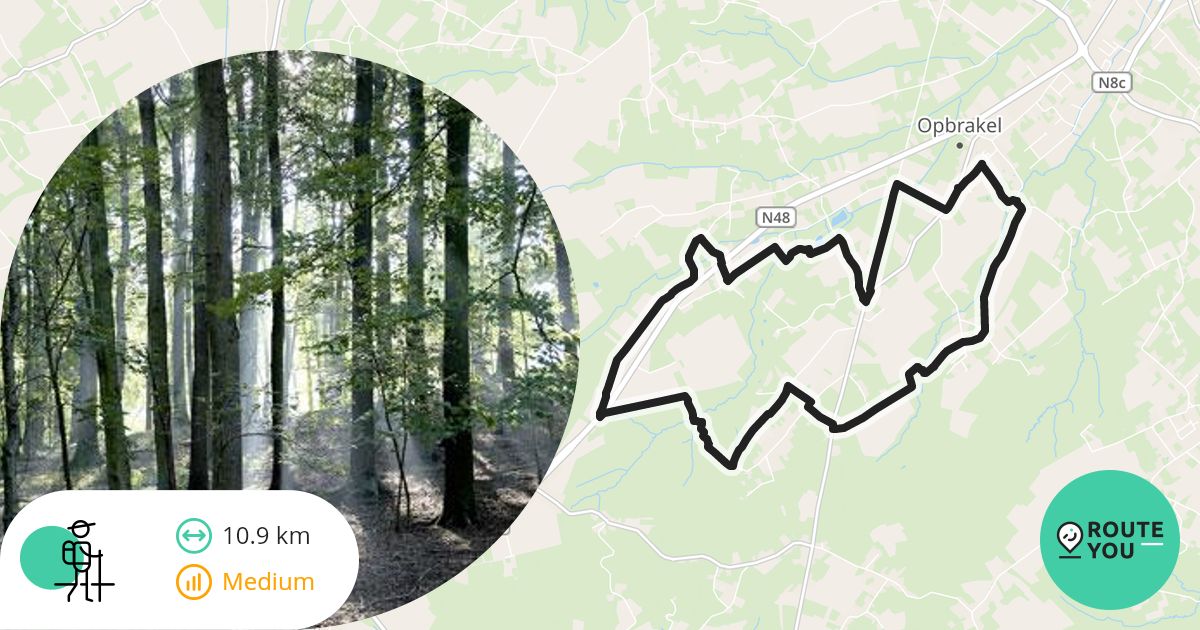 Brakelbos wandelroute - Hikingroute | RouteYou