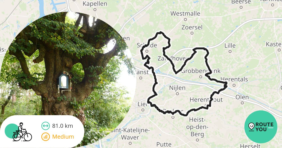 WTC Platten Tuub Toertocht 2019 2.0 - Fietsroute | RouteYou