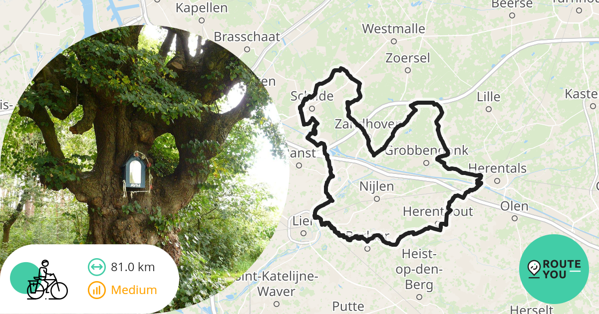 WTC Platten Tuub Toertocht 2019 2.0 - Fietsroute | RouteYou