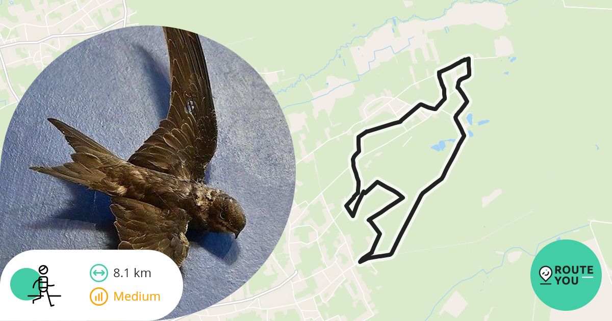 Beringen: van cité naar terril - Recreatieve wandelroute | RouteYou