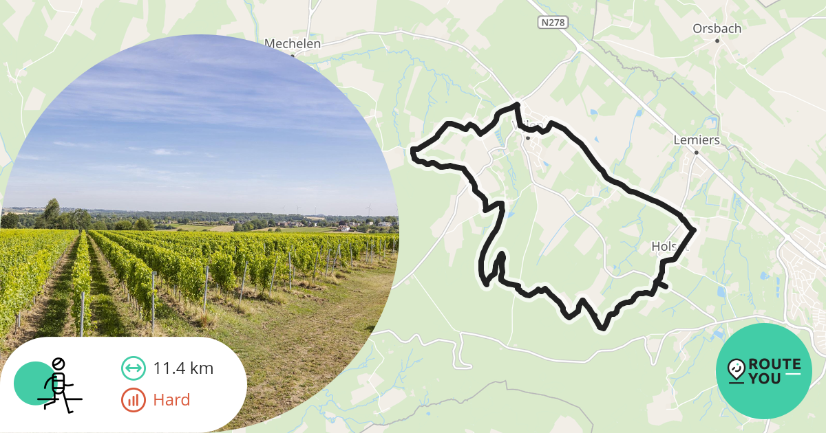 Wandelroute Vi7 - Vaals - Route des Vins Vijlen-Holset - Recreatieve ...