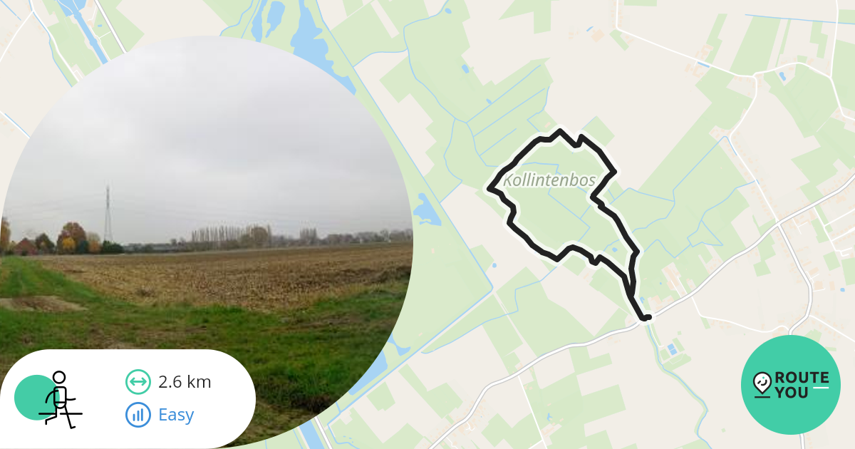 Bos Van Aa - Kollintenbos - Wandelroute | RouteYou