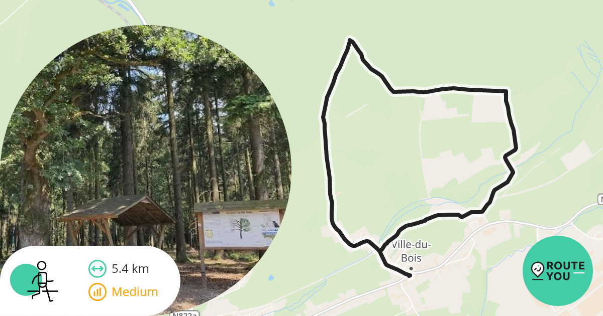 Vielsalm - naar de vergezichten van Ville du bois - Wandelroute | RouteYou