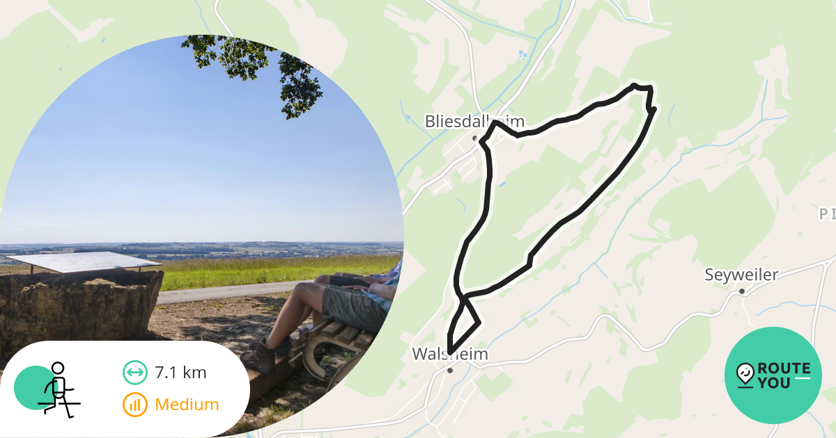 Eine Wanderroute zum genießen entlang Saar-Offensive - Spazierwege ...