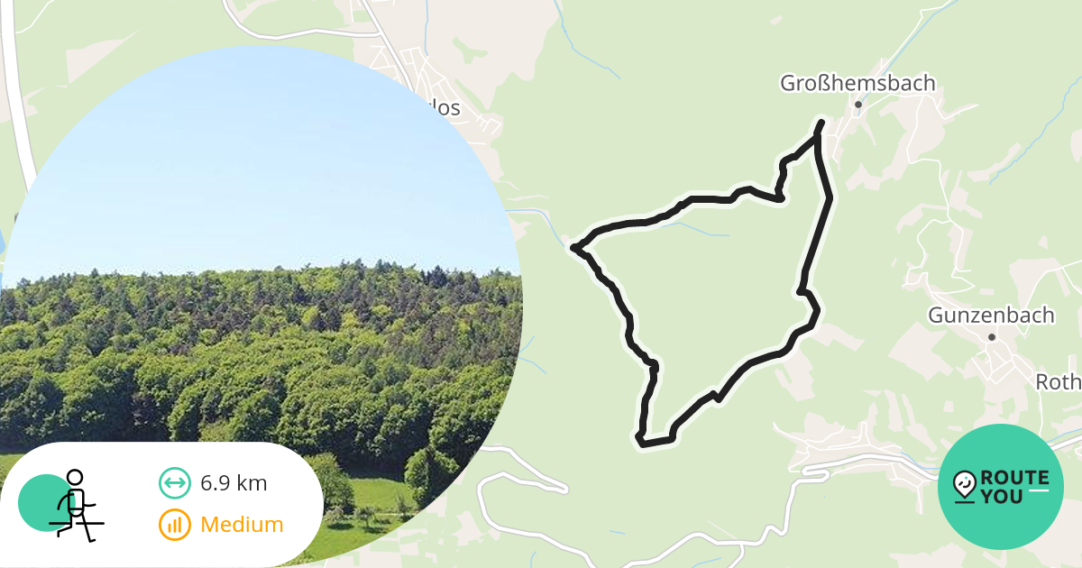Wanderung in der Region Alzenau - Spazierwege | RouteYou