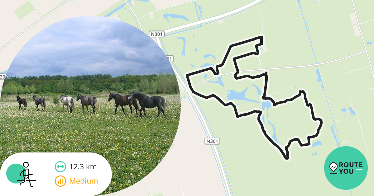 Zeewolde -Stille kern - Wandelroute | RouteYou
