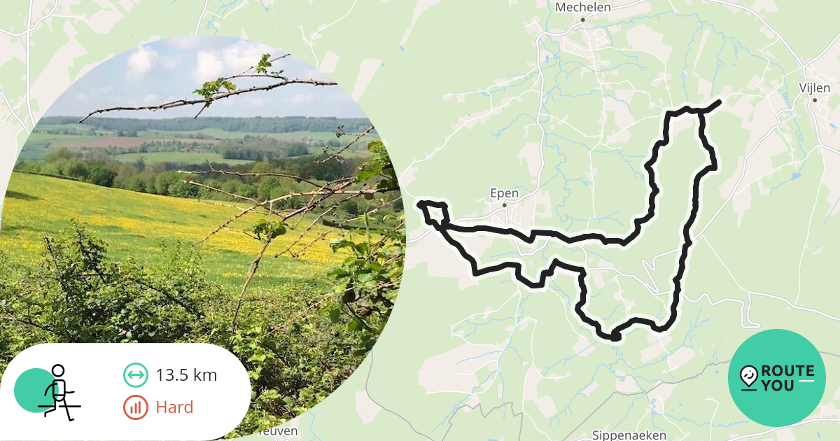 Wijngaard route Vijlen - Wandelroute | RouteYou