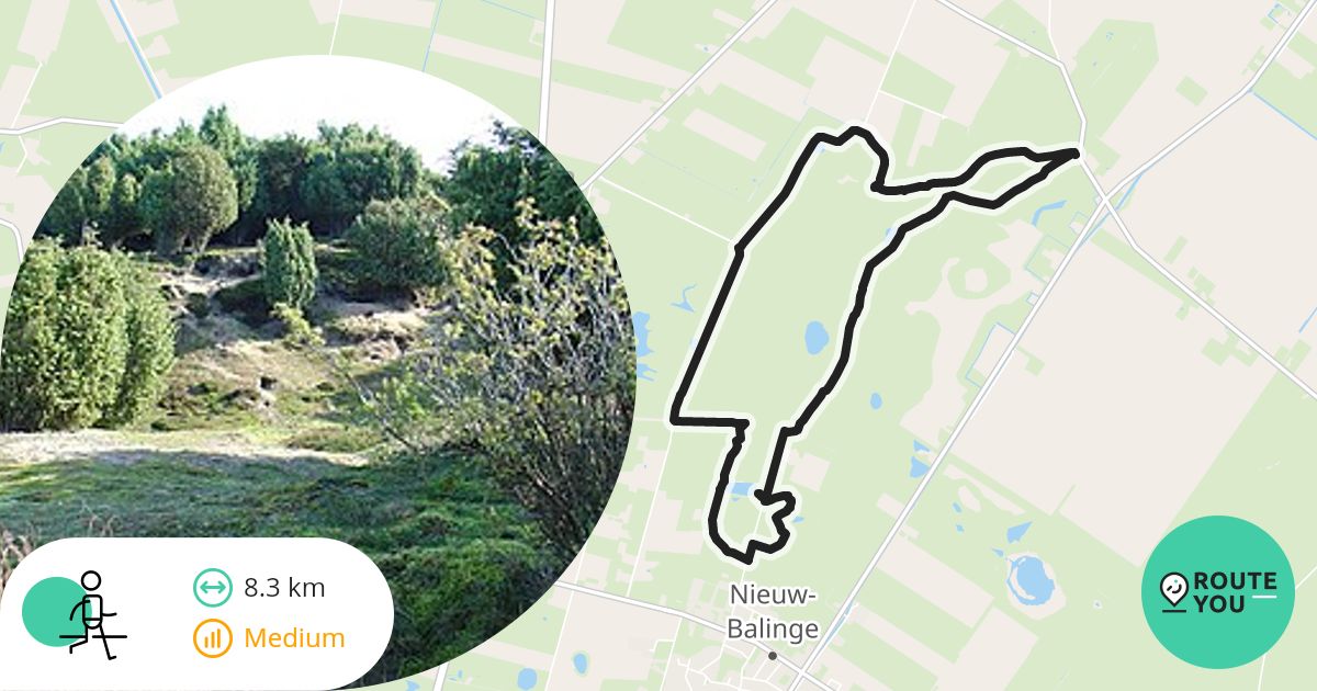 Wandeling Mantingerveld, Jeneverbesroute - Wandelroute | RouteYou