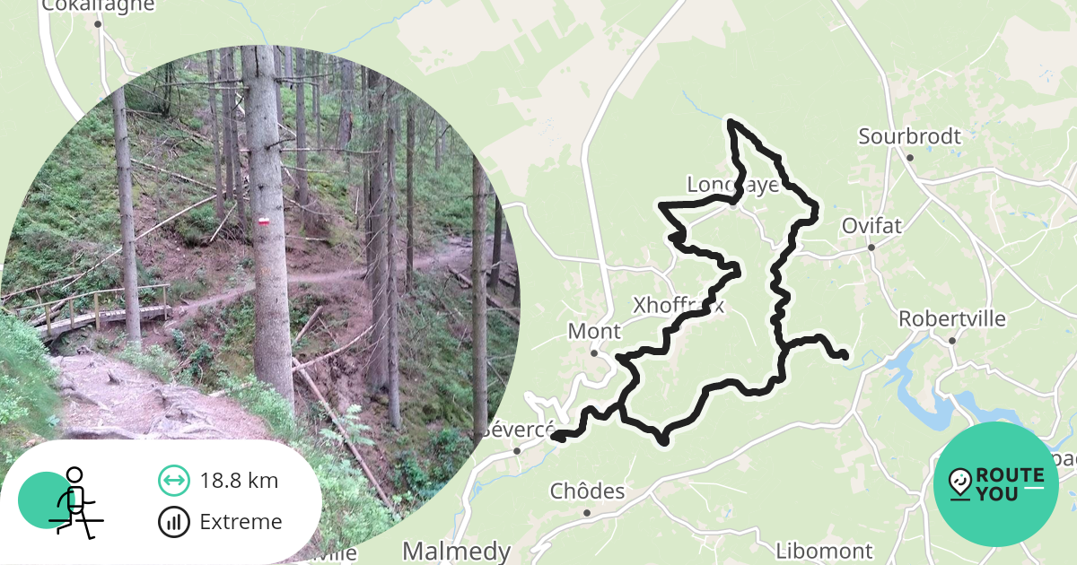 Drie valleien Longfaye - Wandelroute | RouteYou