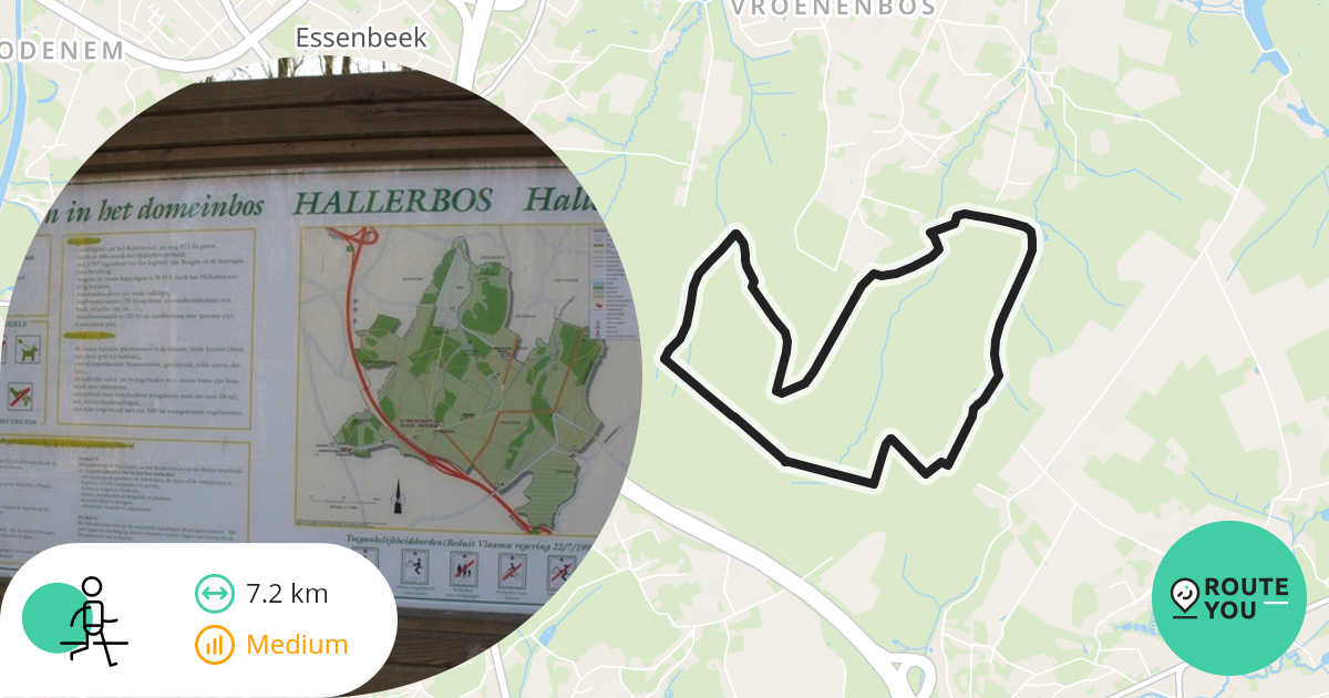 Reebokwandeling Hallerbos - Wandelroute | RouteYou