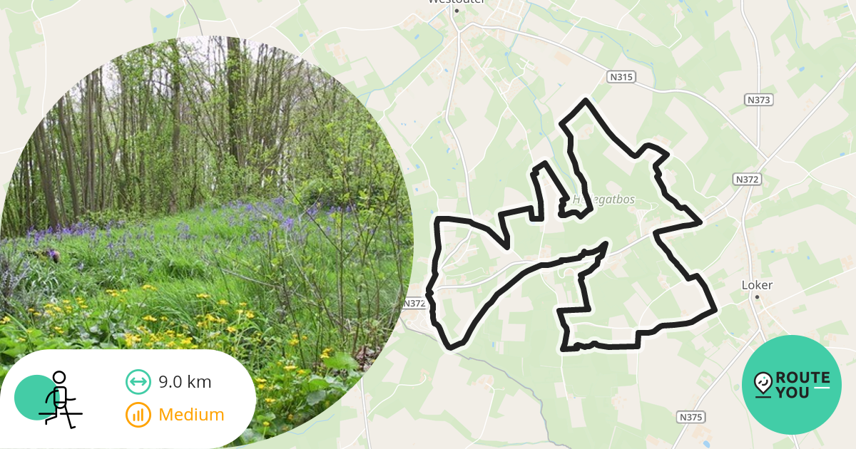 Wandelen langs de Rode Berg - Wandelroute | RouteYou