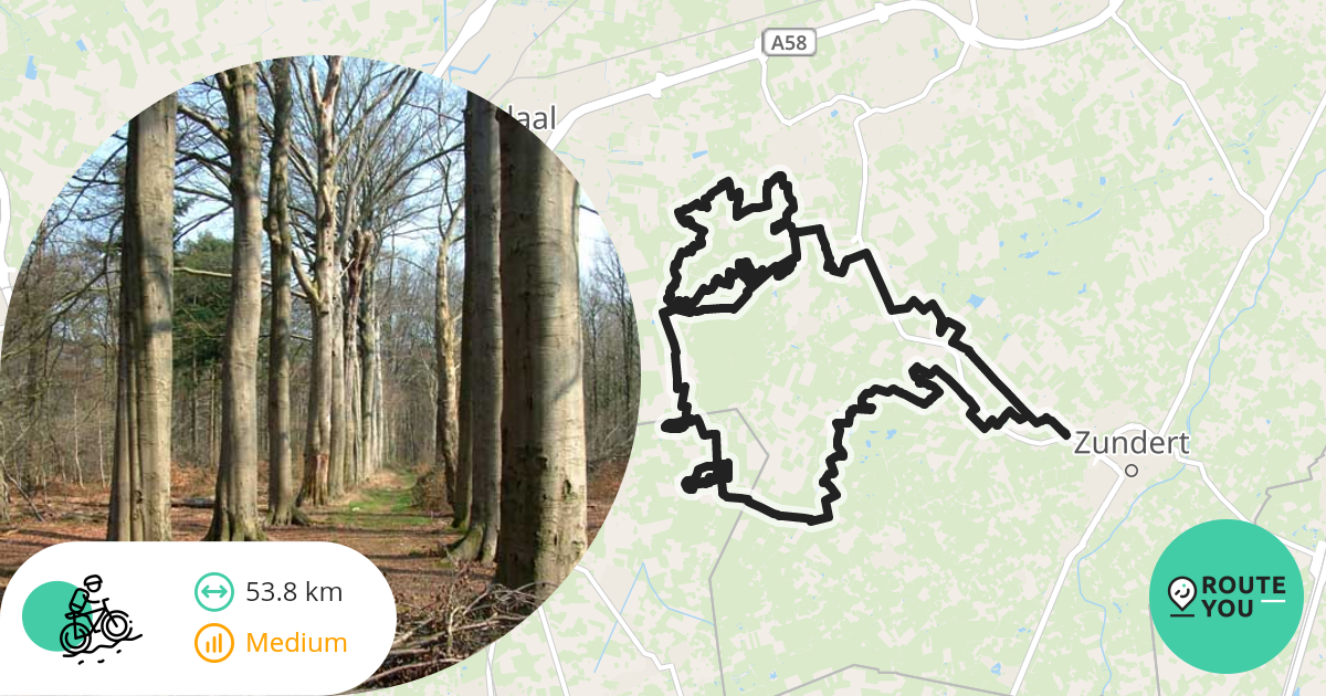 MTB Zundert - Rucphen - Horendonk - Mountainbikeroute | RouteYou