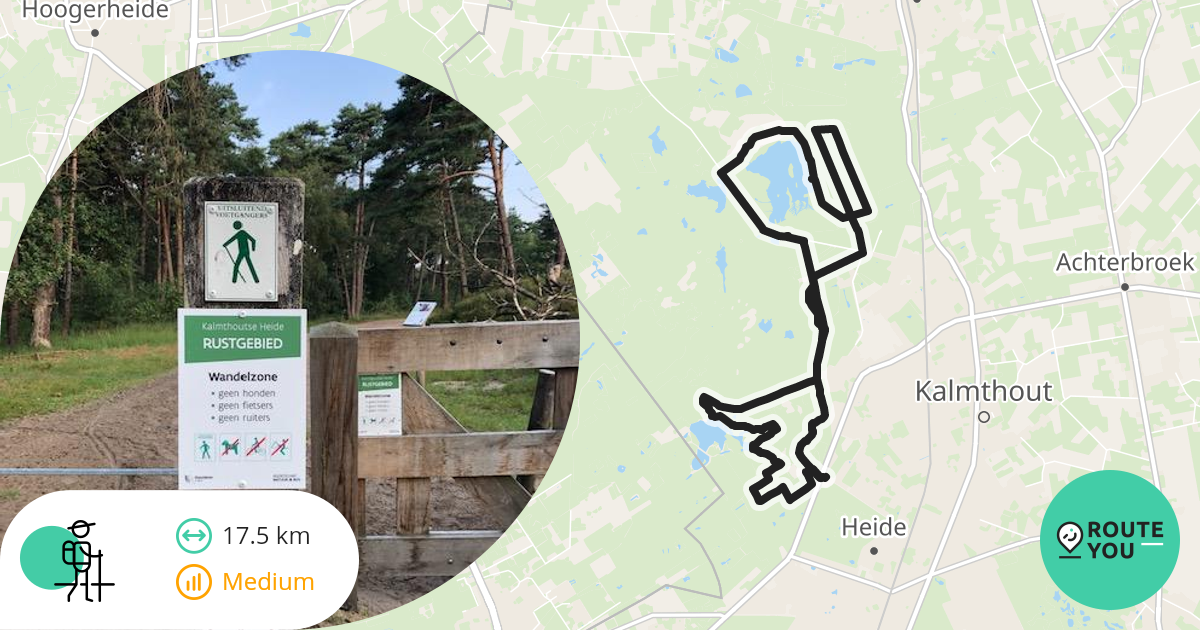 Kalmthout : Natuurpunt : Kalmthoutse heide (honden toegelaten) 6 of 17 ...