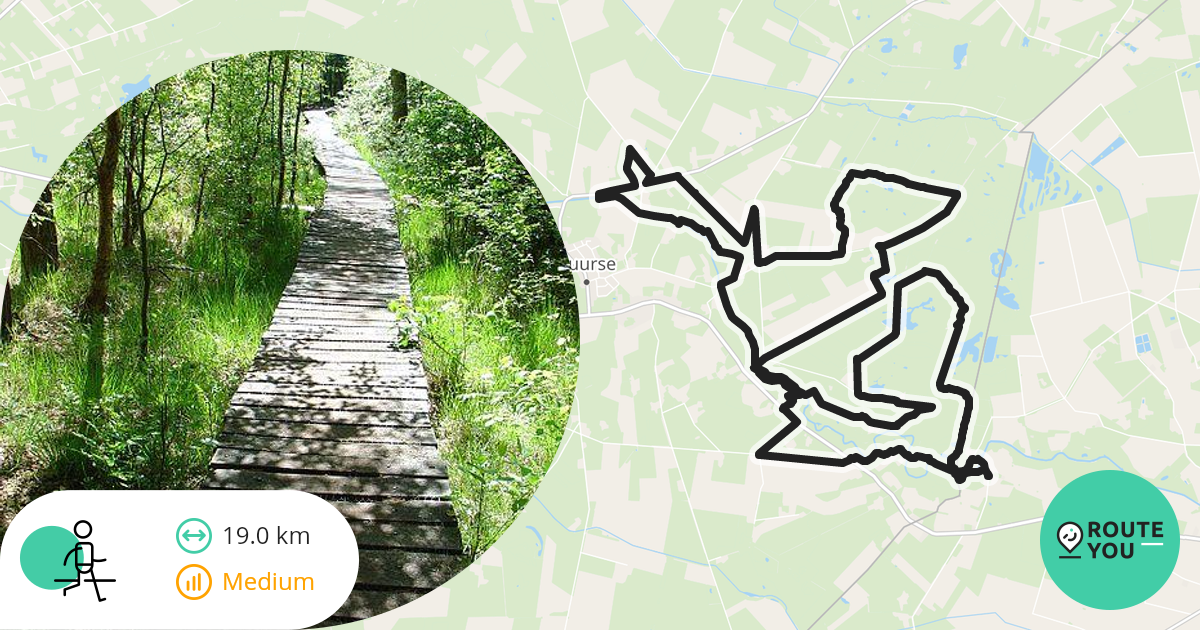 Rondje Witte Veen - Buurse - Wandelroute | RouteYou