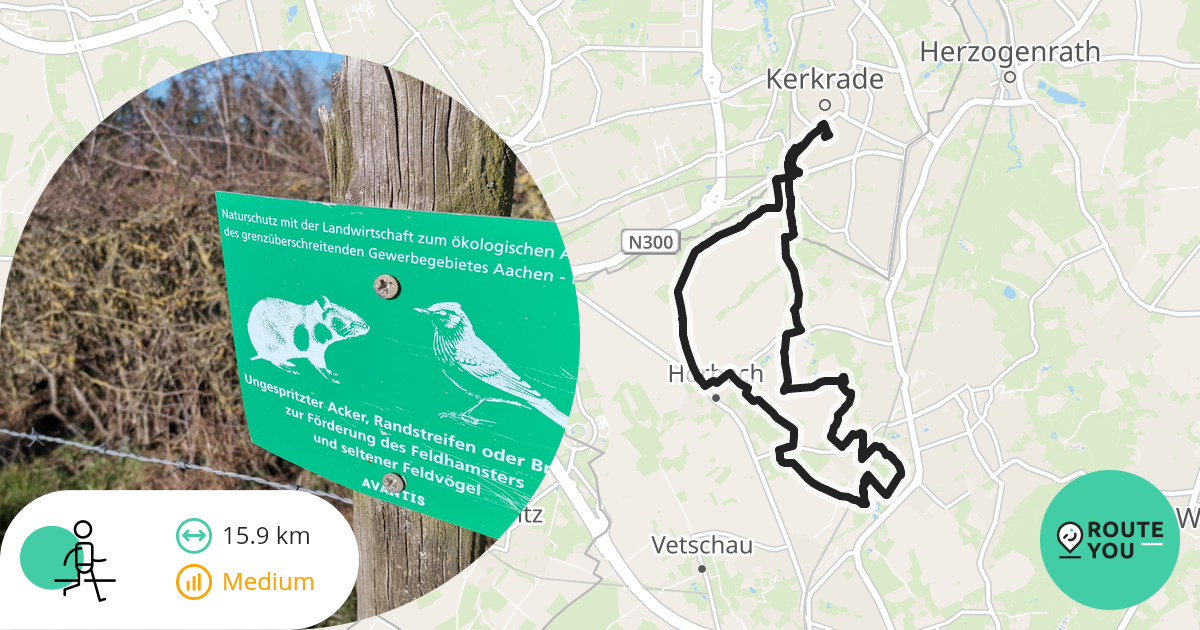 Euregio wandelroute nr 17 Rondwandeling naar Halden om de Wilsberg ...