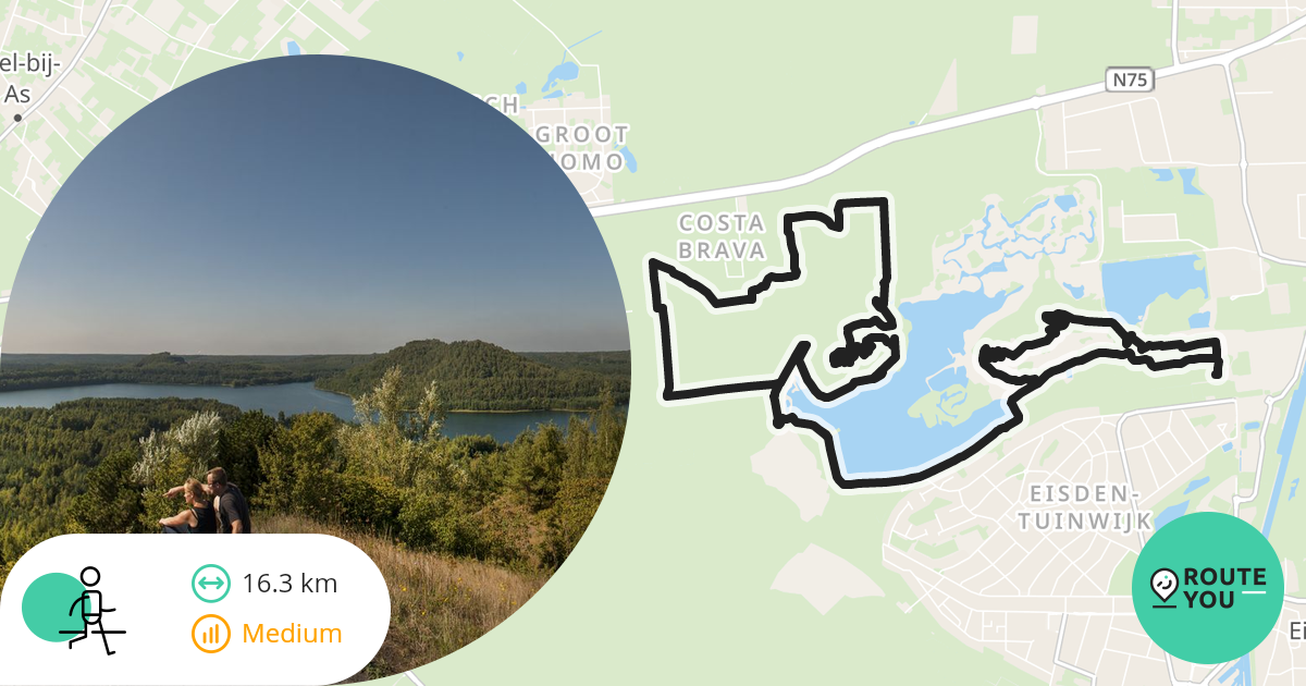 Terhills paars + blauw - Wandelroute | RouteYou