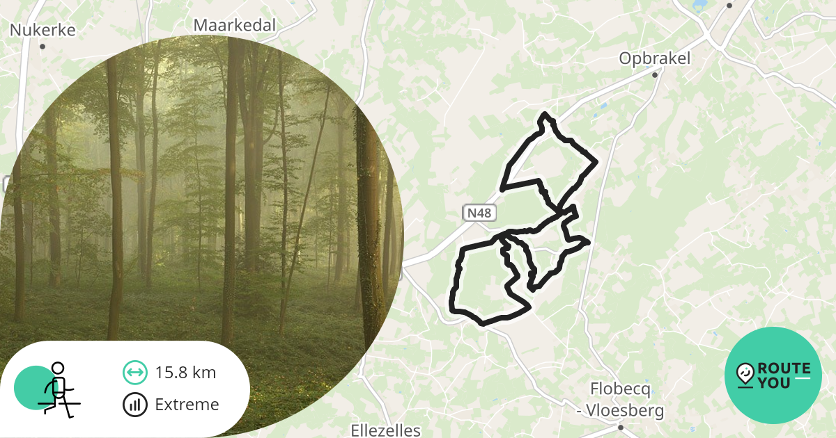 Rondje Brakelbos - Wandelroute | RouteYou