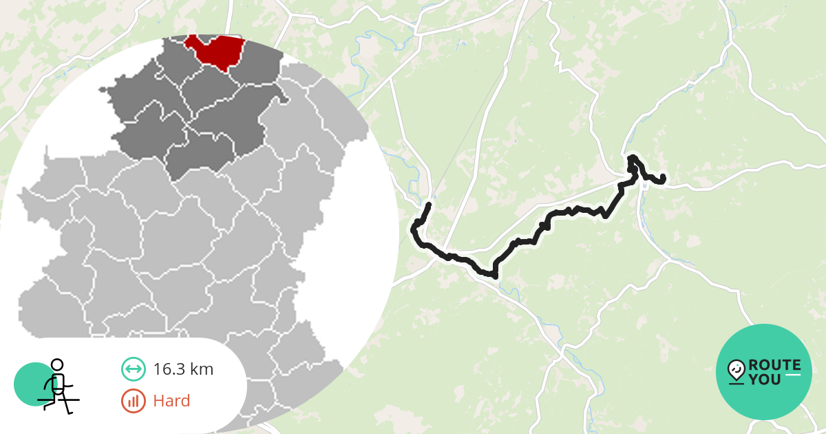 GR 57 Érezée - Melreux - Wandelroute | RouteYou