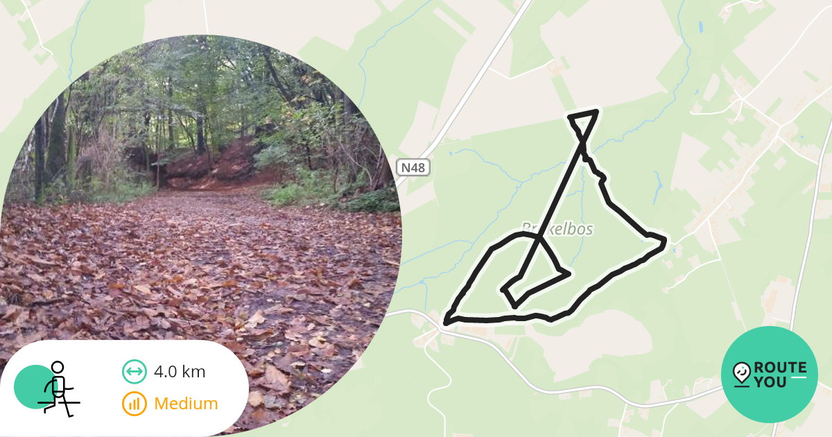 Brakelbos - Hyacintenwandeling in de lente - Wandelroute | RouteYou