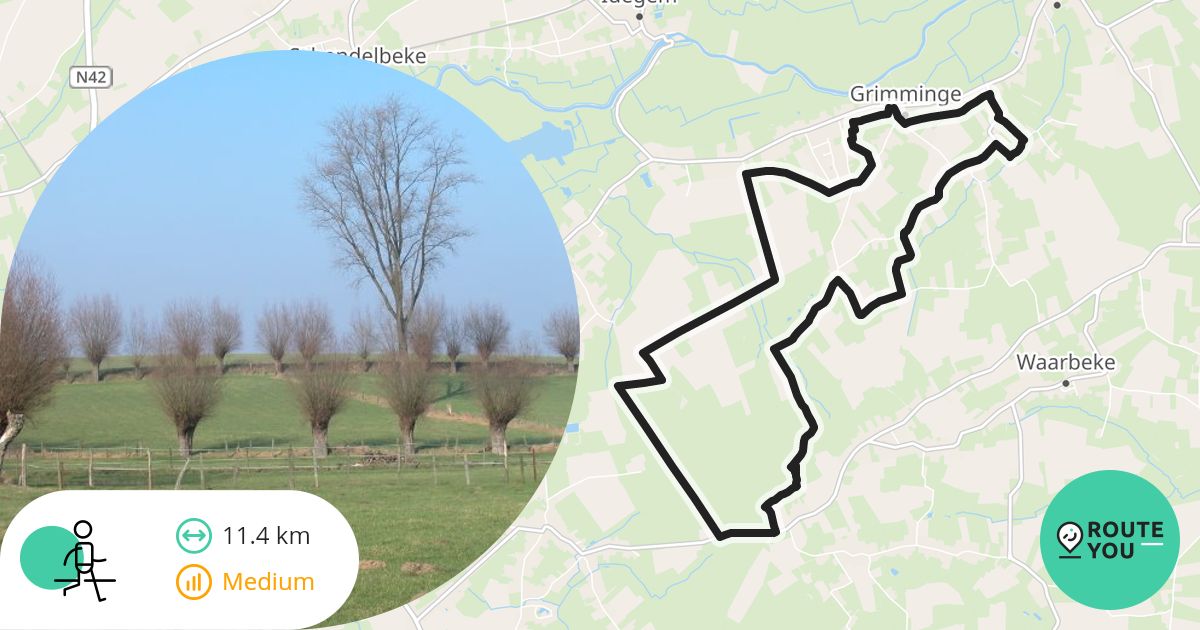 Geraardsbergen Bosberg 11,4km - Wandelroute | RouteYou