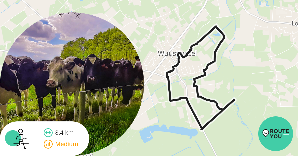 Wuustwezel - Wandelroute | RouteYou