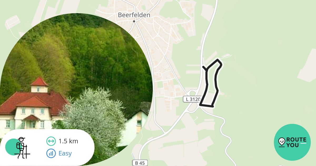 Sentier de randonnée circulaire Beerfelden Buchhelle 4 : Chemin ...