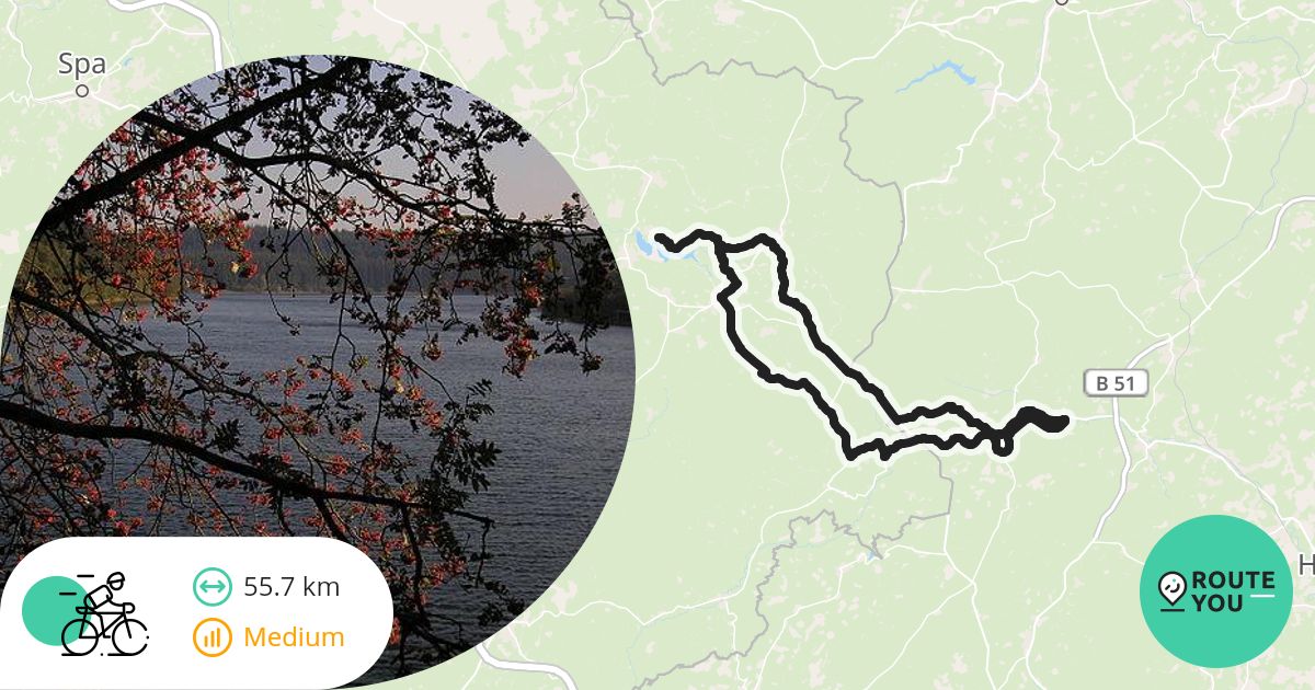 Bu5 Kronenburgersee (D) 55 - Racefietsroute | RouteYou