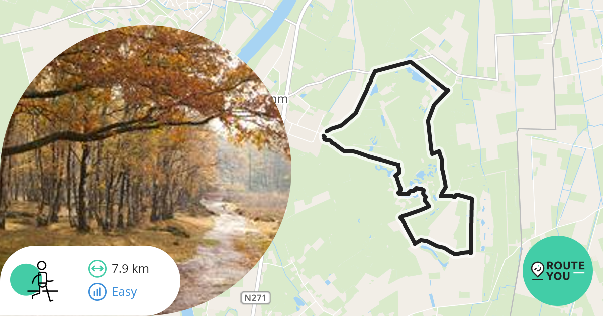 Lomm, ravenvennen - Wandelroute | RouteYou