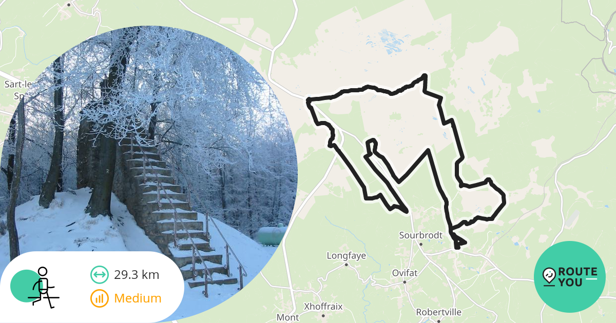 Wandelen door de Hoge Venen vanuit Bosfagne - Wandelroute | RouteYou