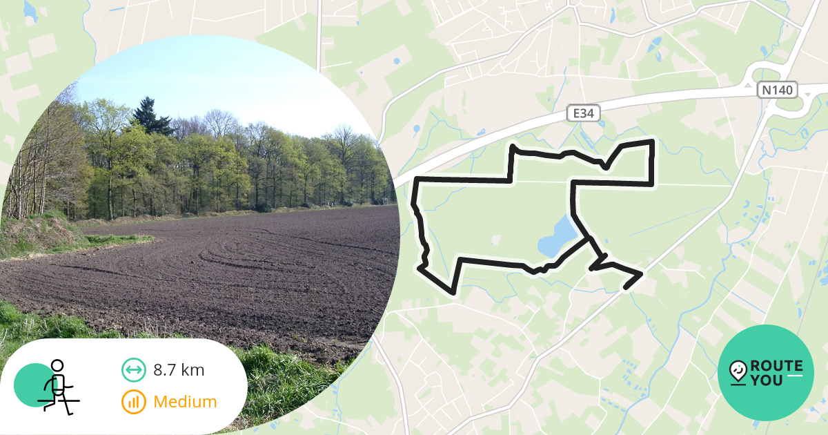 Grotenhoutbos Gierle - Wandelroute | RouteYou