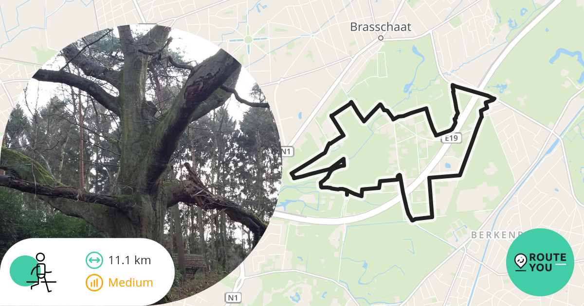 Schoten - Brasschaat - Peerdsbos - Wandelroute | RouteYou