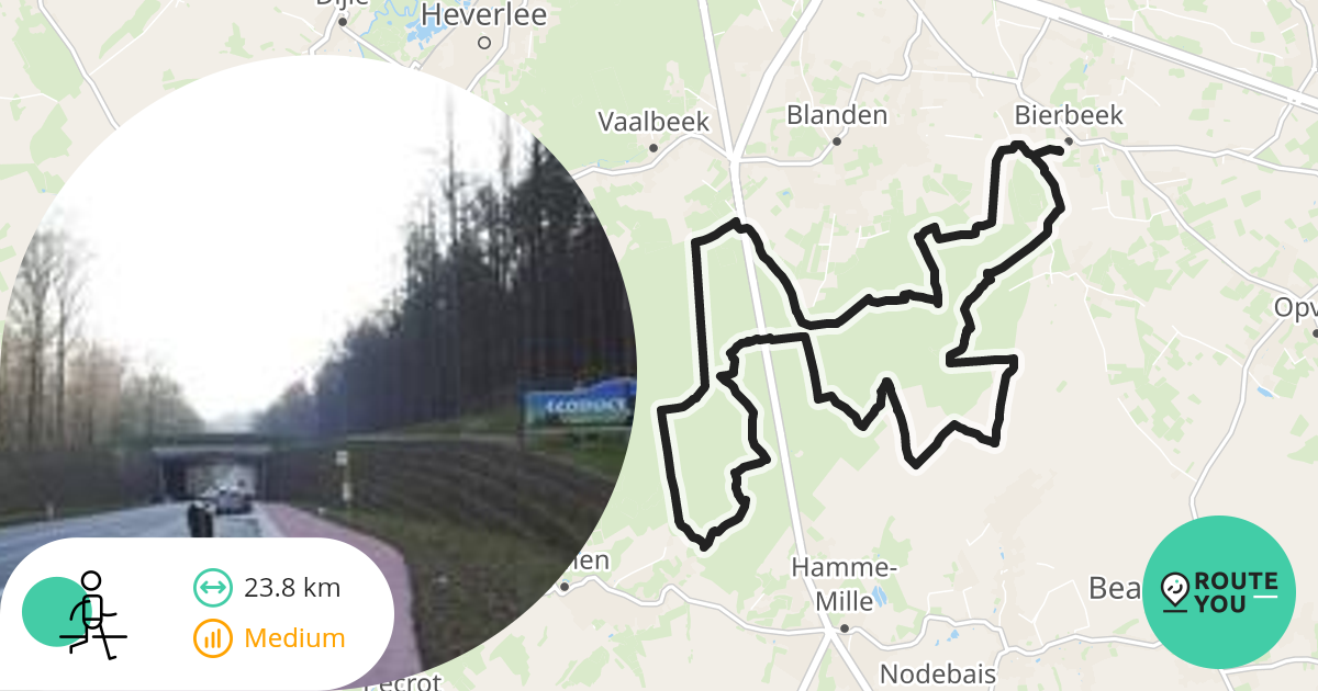 Meerdaalwoud Trail 26k - Wandelroute | RouteYou