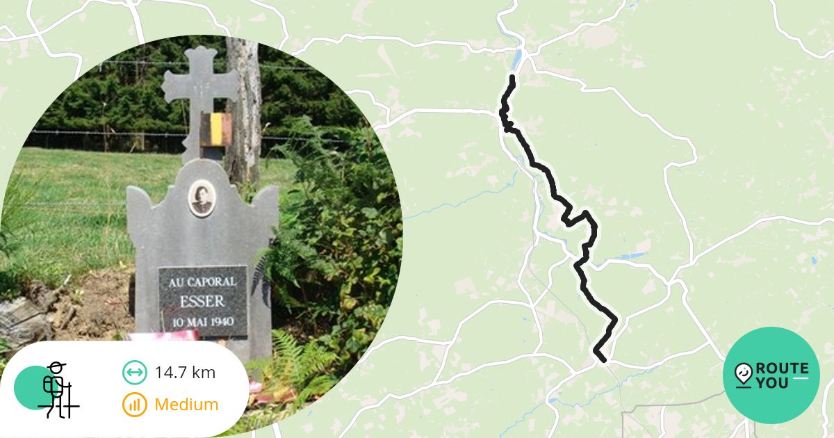 Treinstapper van Gouvy naar Vielsalm - Hikingroute | RouteYou