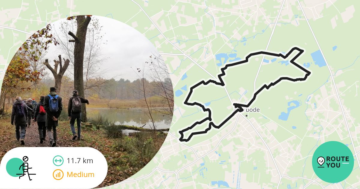 11 Novemberwandeling - Averbode - Recreatieve wandelroute | RouteYou