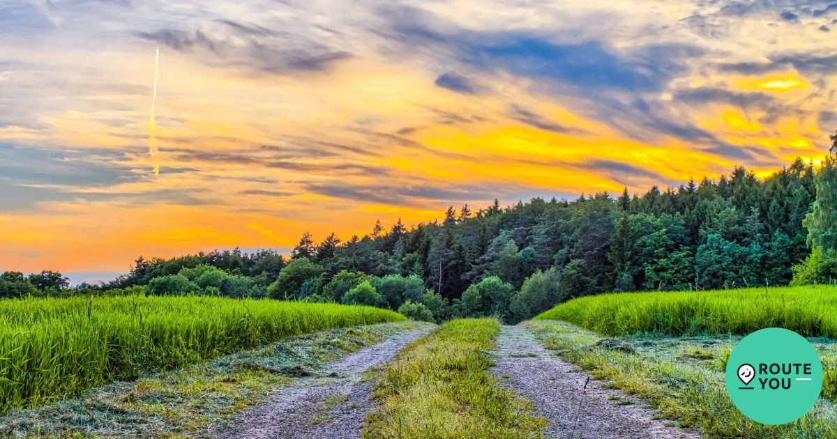 Routes in Côte de Saint-Roch nord | RouteYou