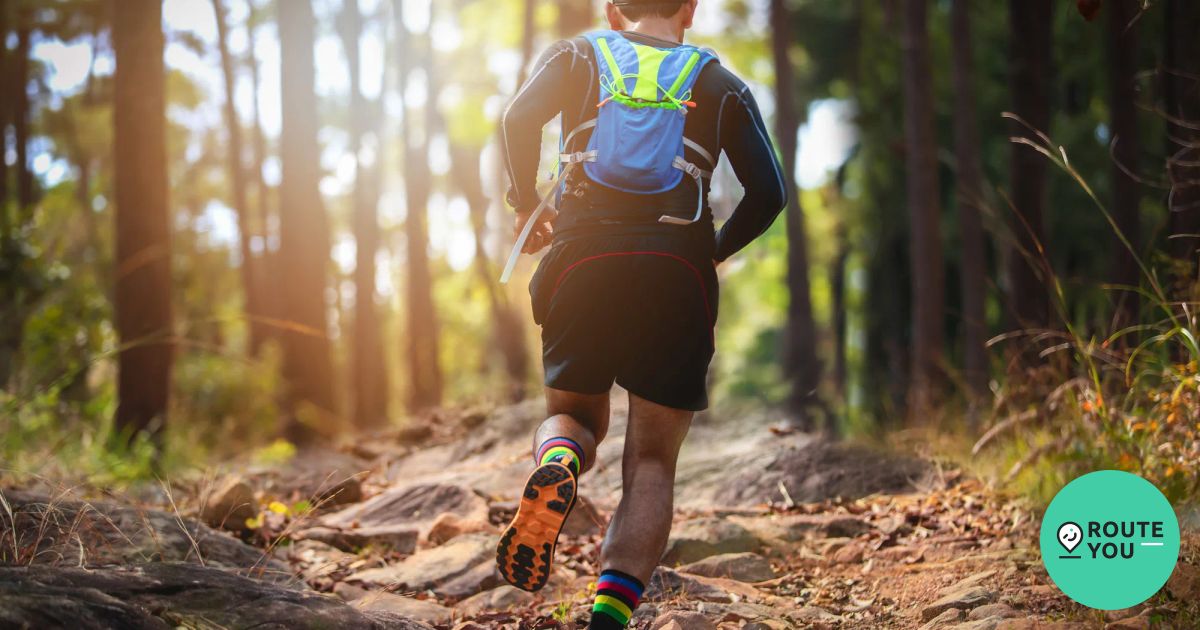 Parcours de trail running à Bavegem | RouteYou