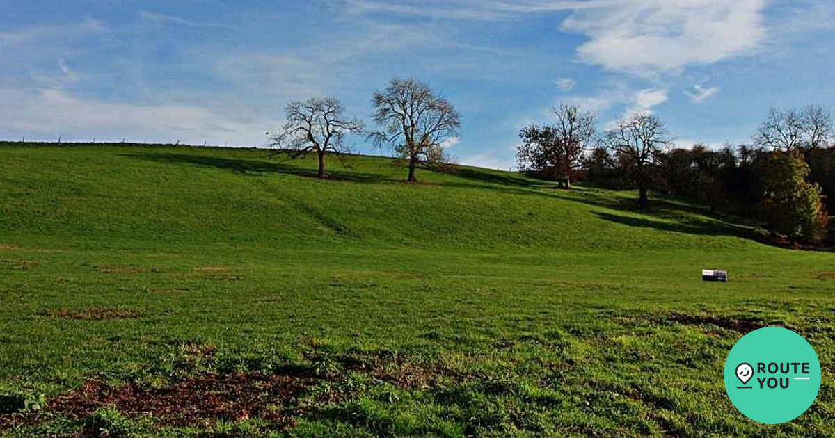 Découvrez 10 sentiers de randonnée à couper le souffle à Soignies ...