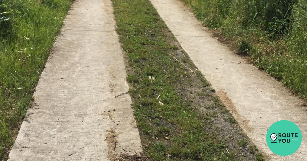 Ontdek de 10 leukste fietsroutes in Spiere-Helkijn | RouteYou