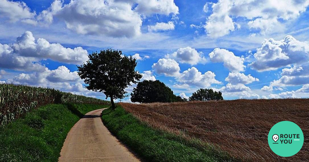 Top 10 Wandelroutes Bevekom: Ontdek de mooiste plekken te voet | RouteYou